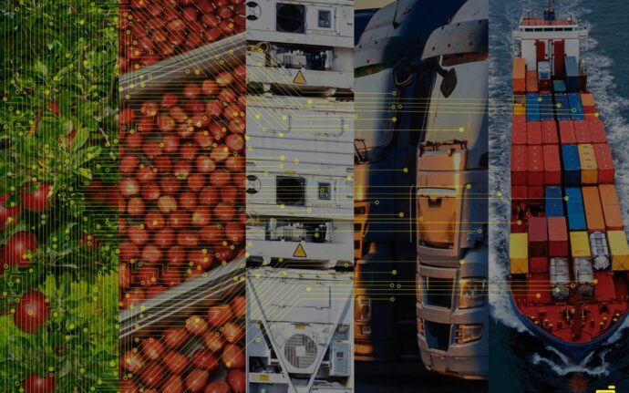 Exploring Global Fruit Logistics - 2024 Guide - TheSite.org