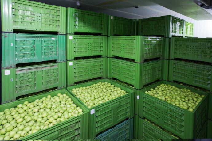 Exploring Global Fruit Logistics - 2024 Guide - TheSite.org