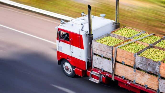 Exploring Global Fruit Logistics - 2024 Guide - TheSite.org