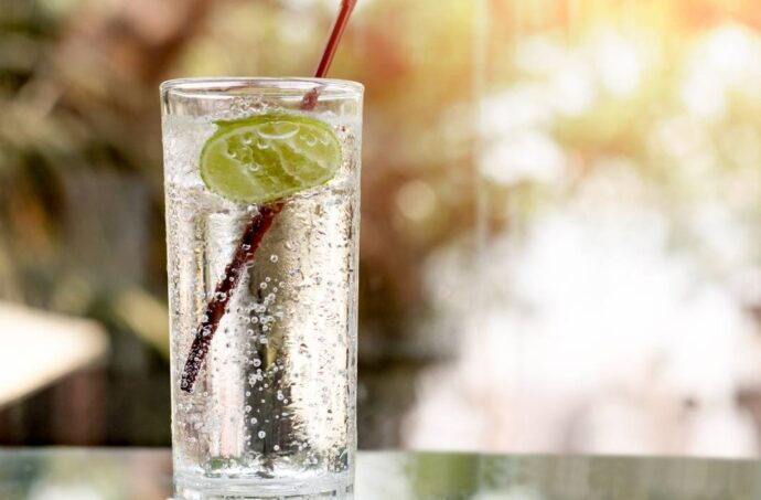 Why Are Seltzers So Popular? - TheSite.org