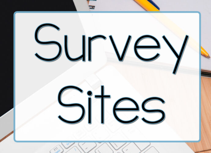 Ten Best Survey Sites to Watch in 2024 - TheSite.org
