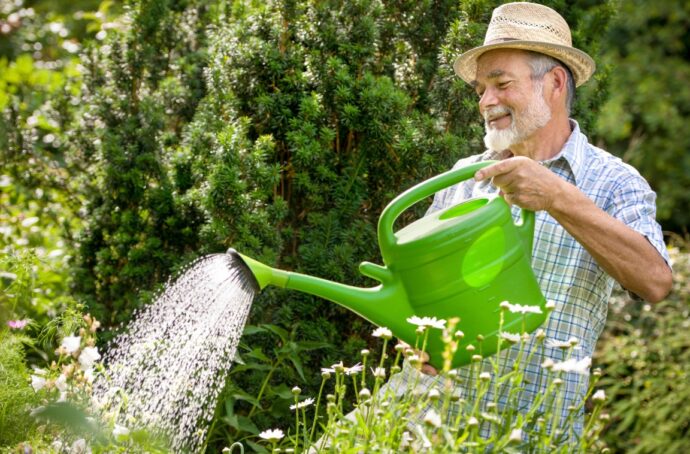 Why is My Garden Failing Every Year? - TheSite.org