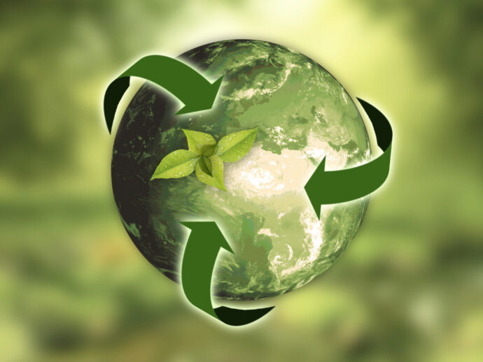 Going Green: Overcoming Obstacles to Sustainability in the U.S ...